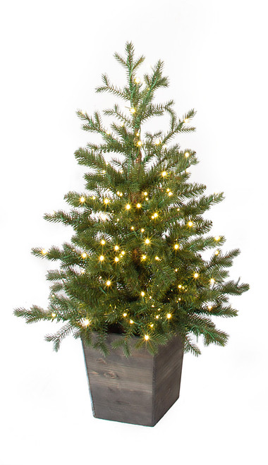 Potted Western Hemlock Trees\Micro LED Lights | 3 or 5 Ft. | Autograph ...