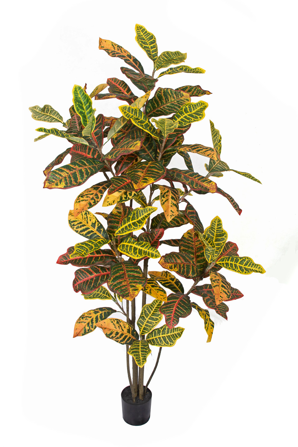Artificial Foliage Signed with the Perfection of Nature | Autograph ...