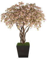 SIGNS OF SPRING - Autograph Foliages | Autograph Foliages