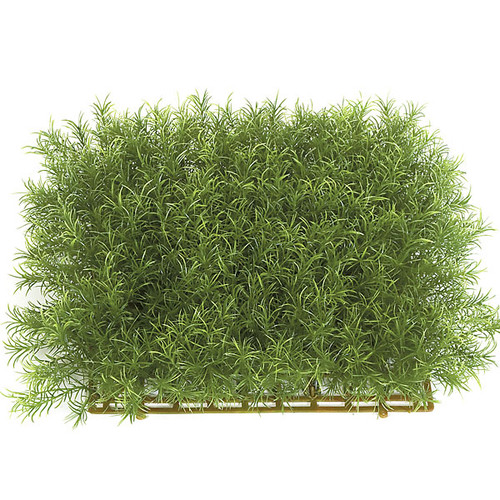 10 Inch Plastic Springerii Mat | Autograph Foliages