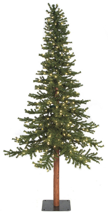 Alpine Trees - 8 Feet and 10 Feet Tall | Autograph Foliages