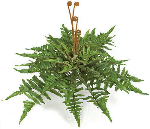 Wholesale 24" W x 17" H Fire Retardant Mountain Fern Plants | Autograph ...