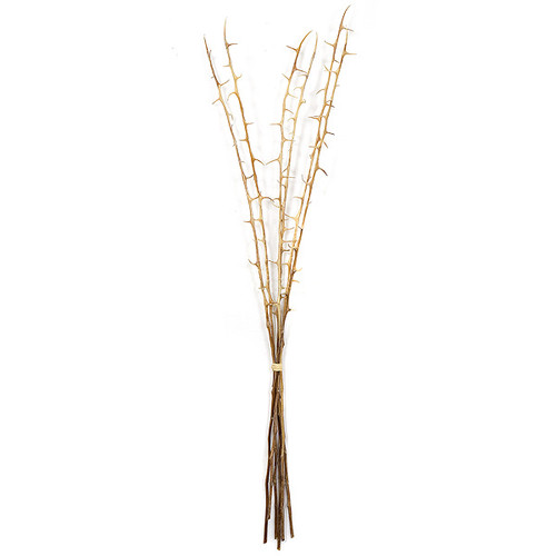 43 Inch Artificial Thorn Twig Stick Bundle | Autograph Foliages