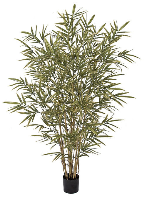 6 Foot IFR Royal Bamboo Palm Tree | Autograph Foliages