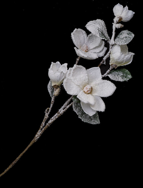 40"flocked magnolia stemw\glitter| artificial winter flowers ...