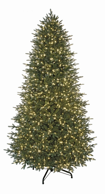 Blue Emerald Pine Tree | Power Pole Technology | 3 Sizes | Autograph ...