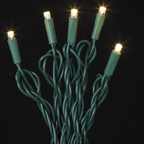 5mm Warm White LED Light Strand - Green Wire | Autograph Foliages
