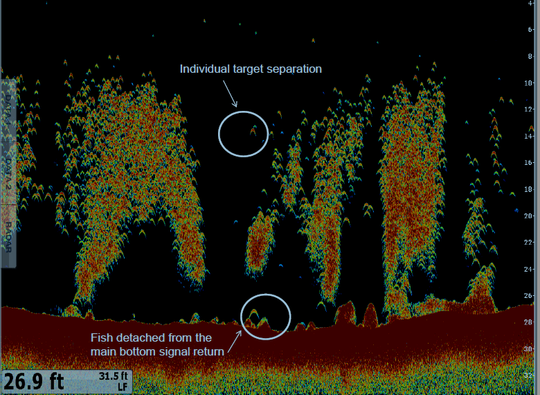 CHIRP vs NON-CHIRP: What’s the difference? - Shotgun Marine Services