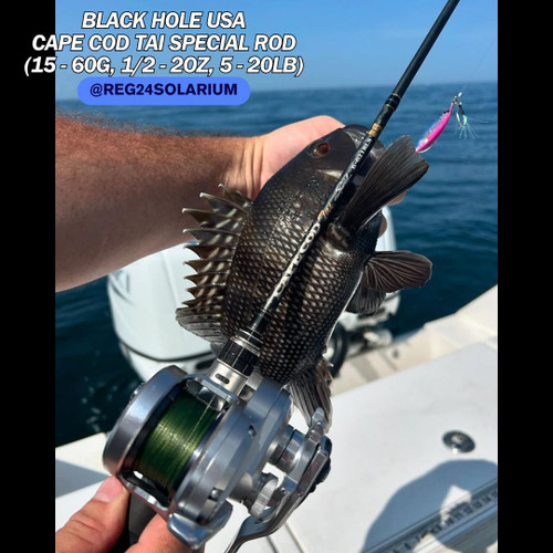 Black Hole USA Cape Cod Tai Special Rods, Black Hole USA, Black Hole