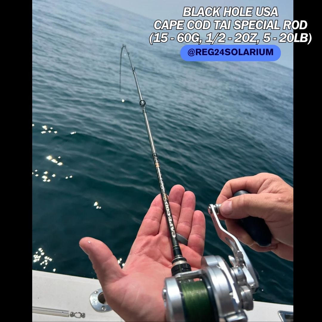 From Perch to Snapper! Black Hole USA Cape Cod Tai Special Rod with ...