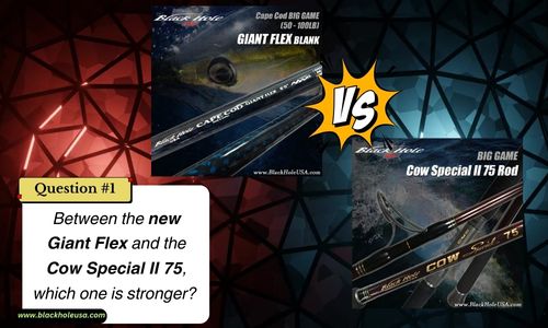 The three most frequently asked questions about our NEW Giant Flex ...