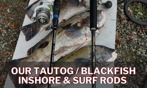 Our Top Tautog / Blackfish Rods! - Black Hole USA