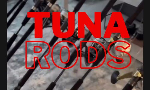 Ready for Tuna Season? Check Out Our Top Tuna Rod Recommendations ...