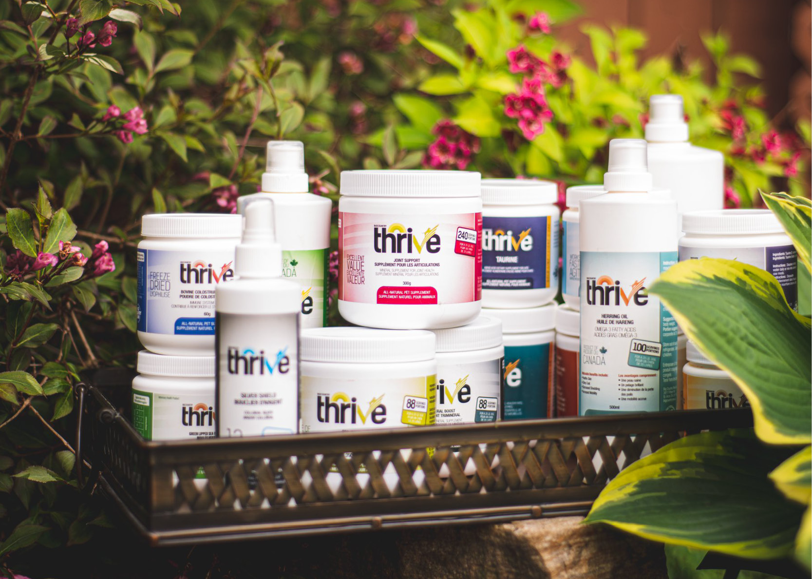 What Makes THRIVE the Best & Safest Supplement Line on the Market ...