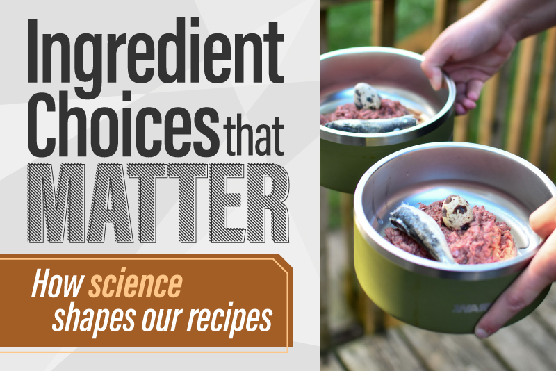 Ingredient Choices That Matter: How Science Shapes Our Recipes - Big ...