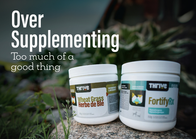 Over Supplementing - Big Country Raw