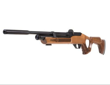 Best budget air rifle, excellent squirrel air rifle