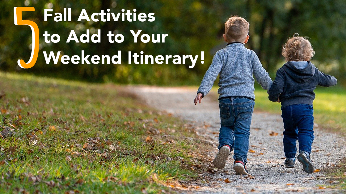 5 Fall Activities to Add to Your Weekend Itinerary - Simplay3 Toys for ...