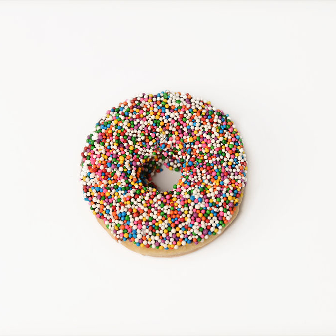 Rainbow Sprinkles Donut