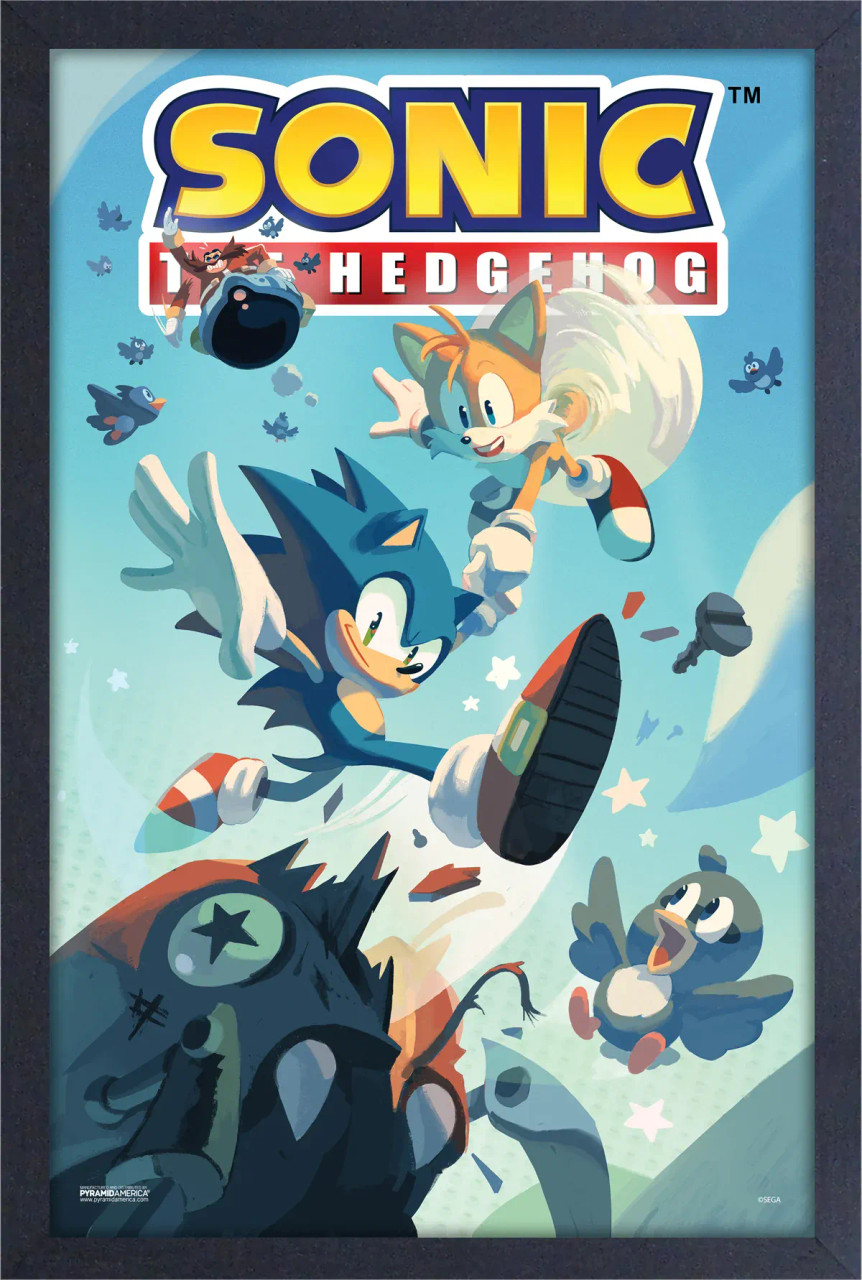 Sonic the Hedgehog "Flying Birds" Framed Gel Coated Poster - Stone Age ...