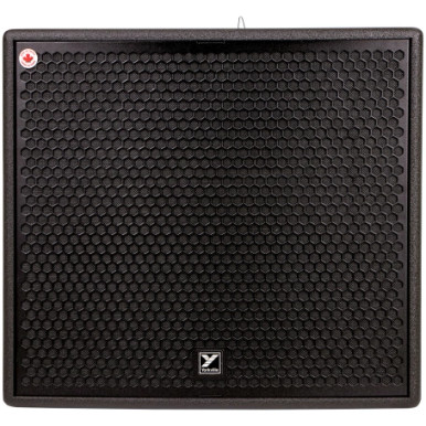 Paraline 15" Powered Subwoofer