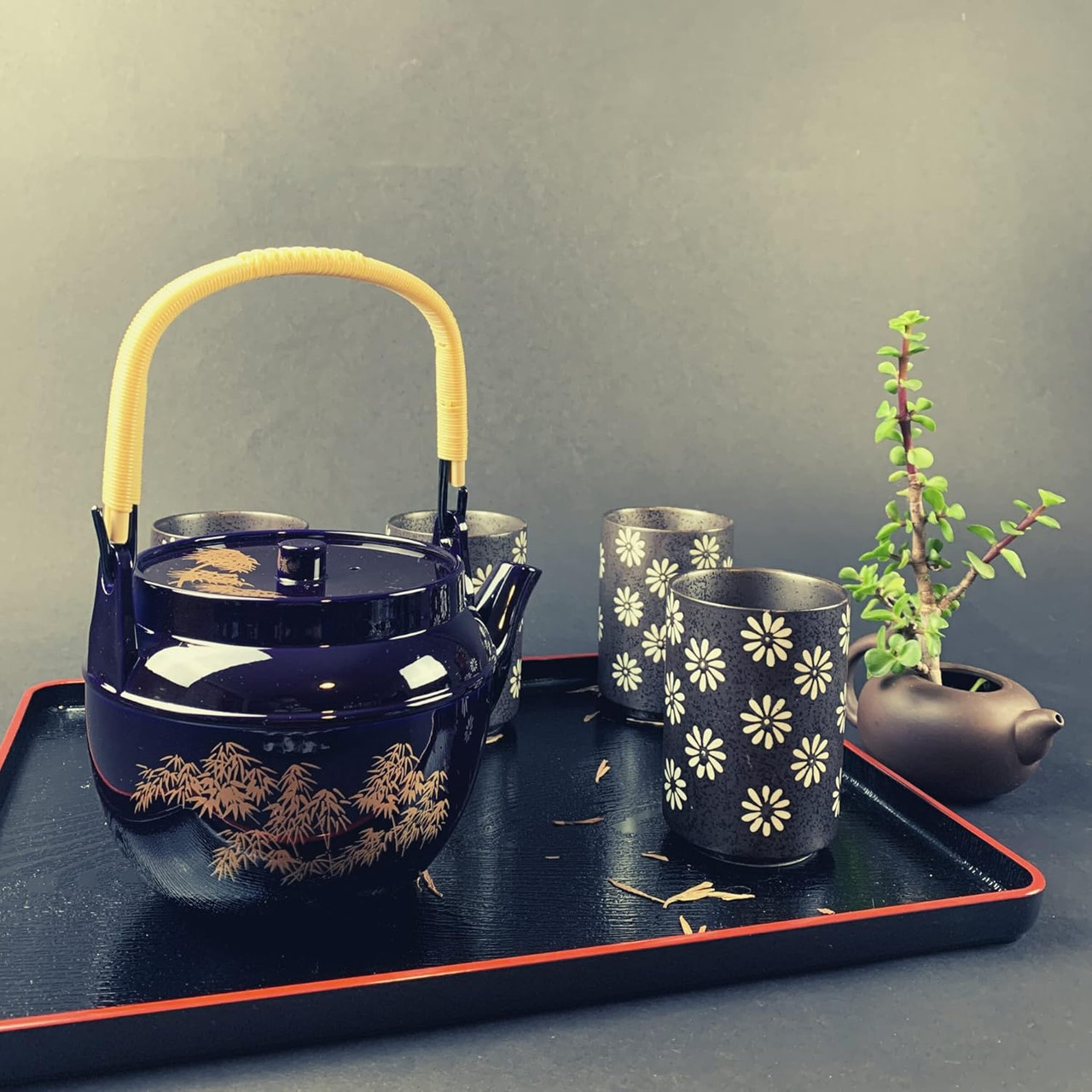 12 Pack Black 22 Ounce Plastic Melamine Unbreakable Teapot Lacquered ...