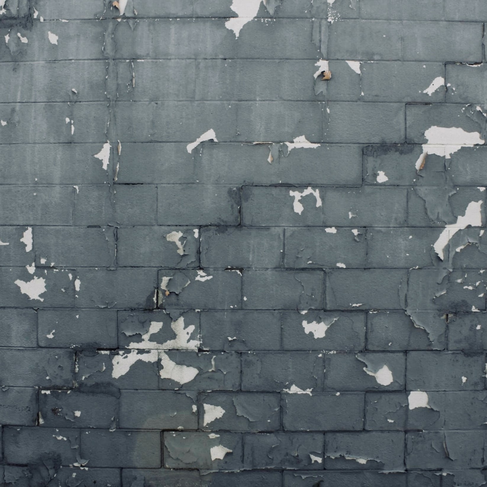 The Grey Market within the Electronics Industry - Tencell