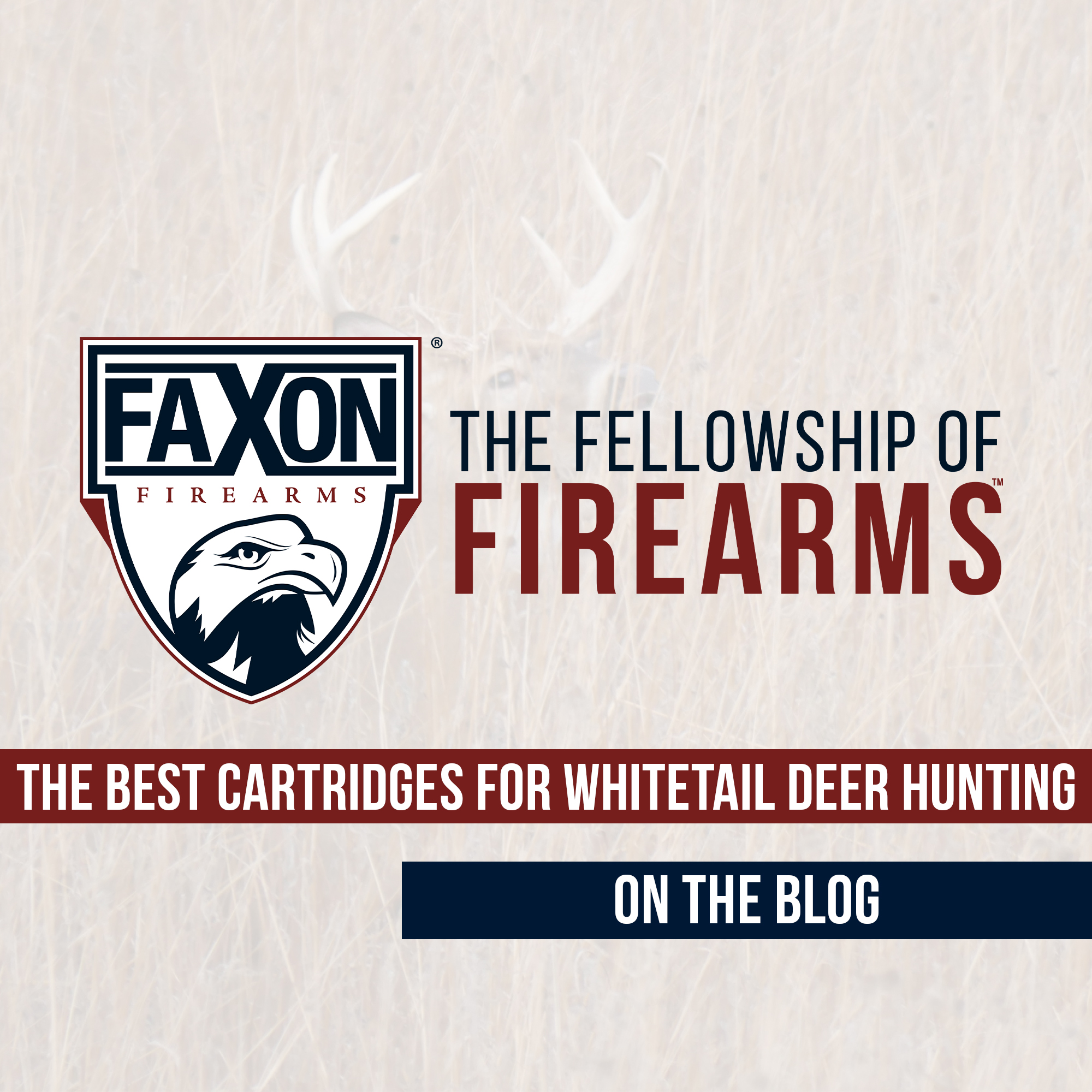 The Best Cartridges for Whitetail Deer Hunting: A Complete Guide ...