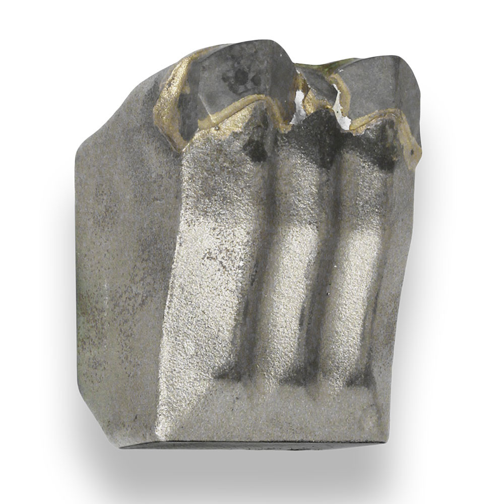 Promac Double Carbide Teeth | Skid Steer Solutions