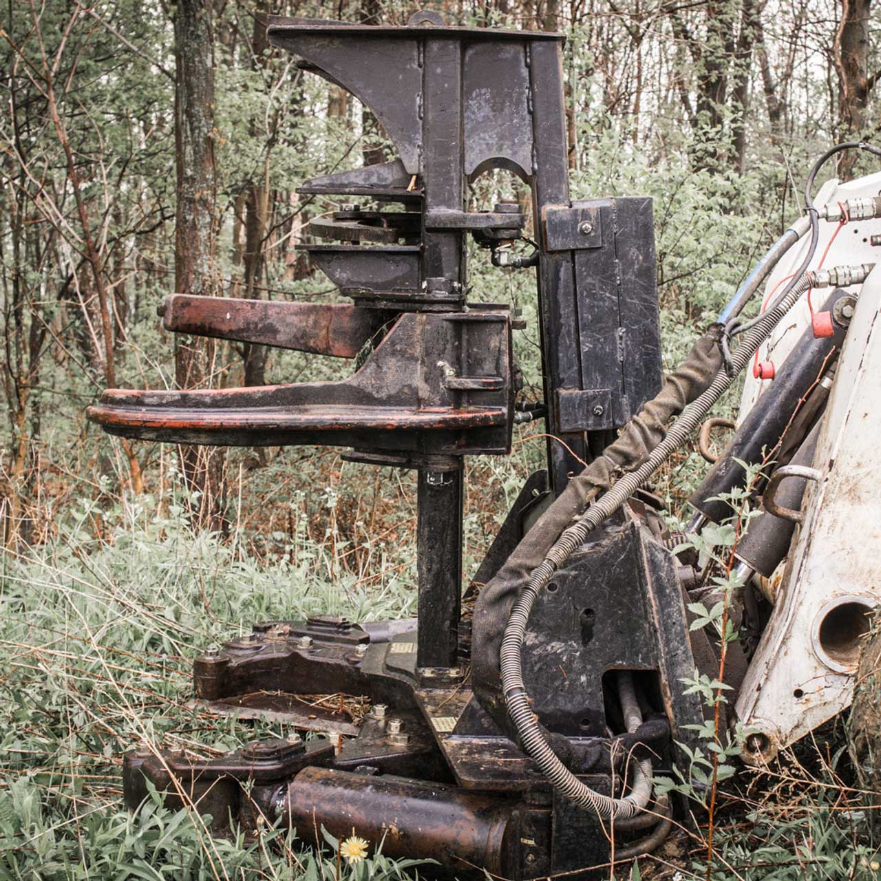 Maxx Timberwolf Forestry Grapple Tree Shear | Skid Steer Solutions