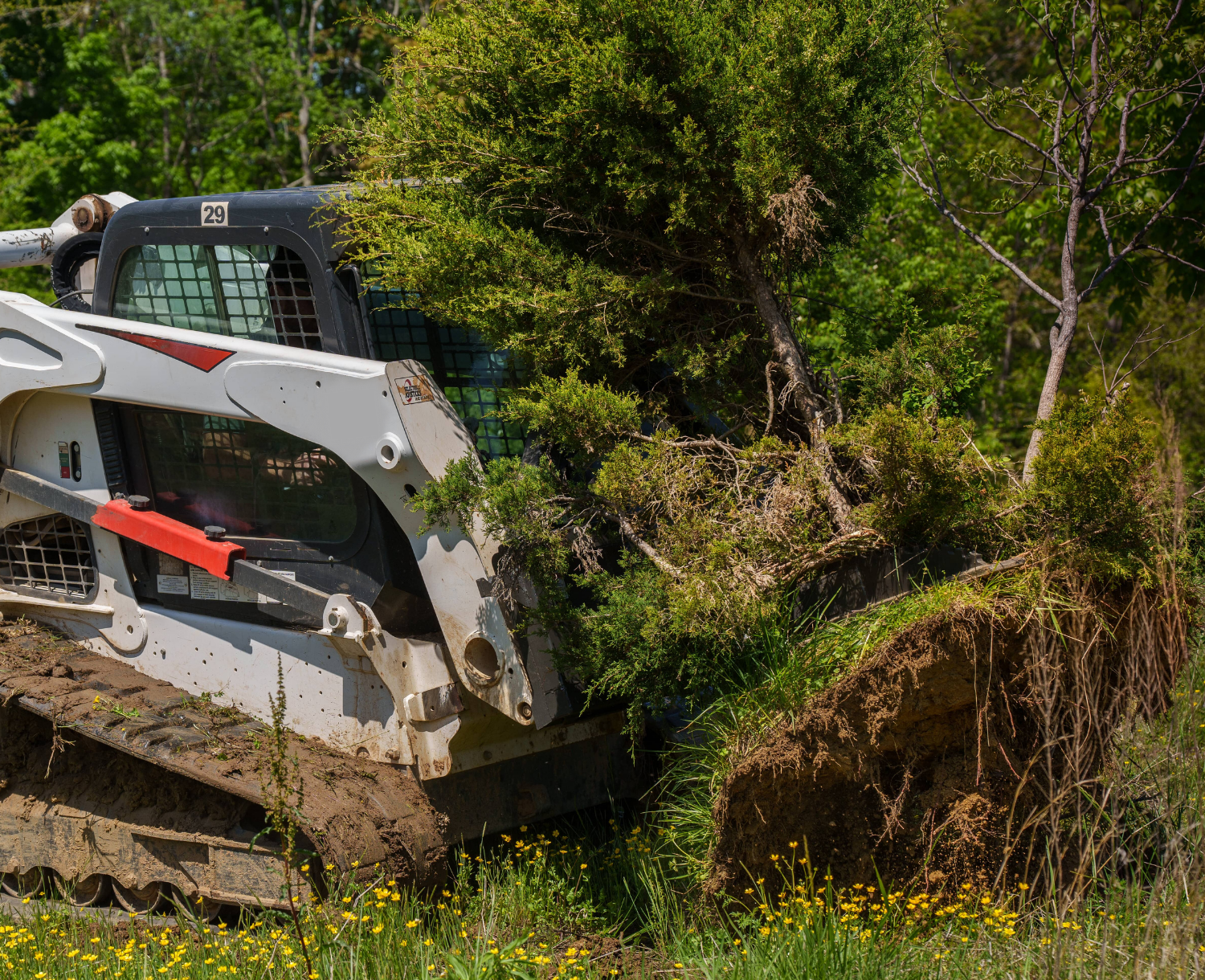 Your Complete Guide to Tree Care Attachments - Skid Steer Solutions