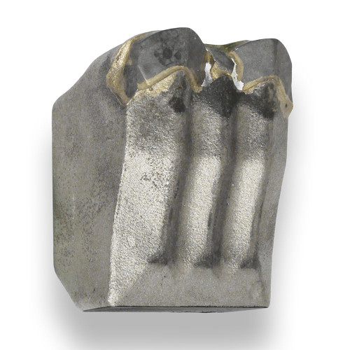 Promac Double Carbide Teeth | Skid Steer Solutions