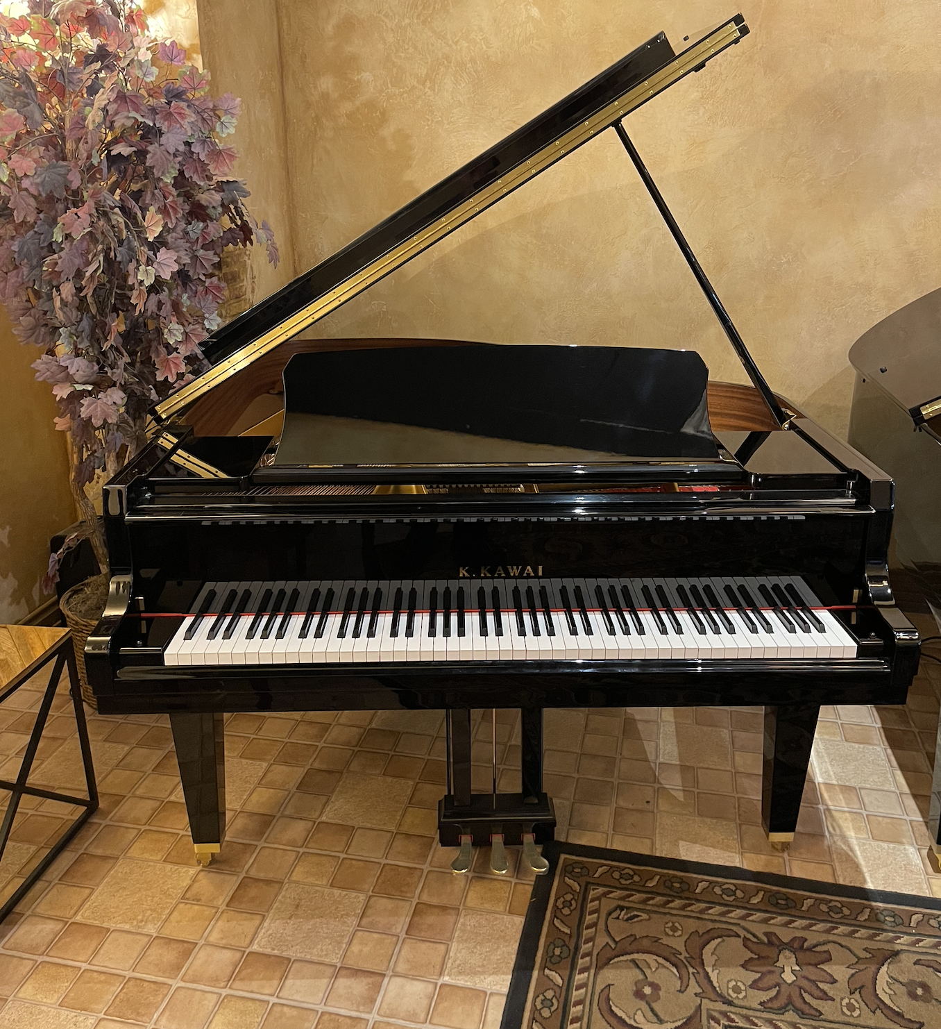 Shop Kawai GL-30 Grand Piano - PianoDisc Prodigy System | Piano Gallery ...