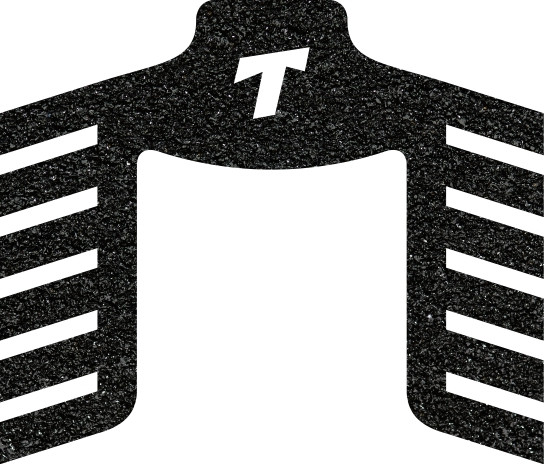 TALON Slide Grips for EAA Models