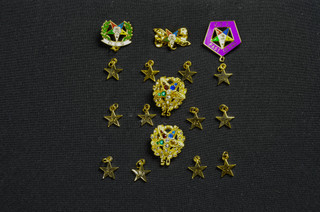 Past District Deputy Grand Matron Jewel - Fraternally Yours Inc ...
