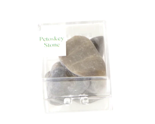 Mini Petoskey Stones - inspired living