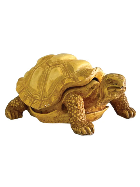 Box - Turtle/Walking - inspired living