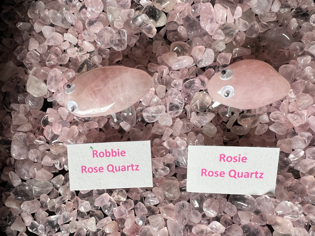 Gem Bug/Rose Quartz - inspired living