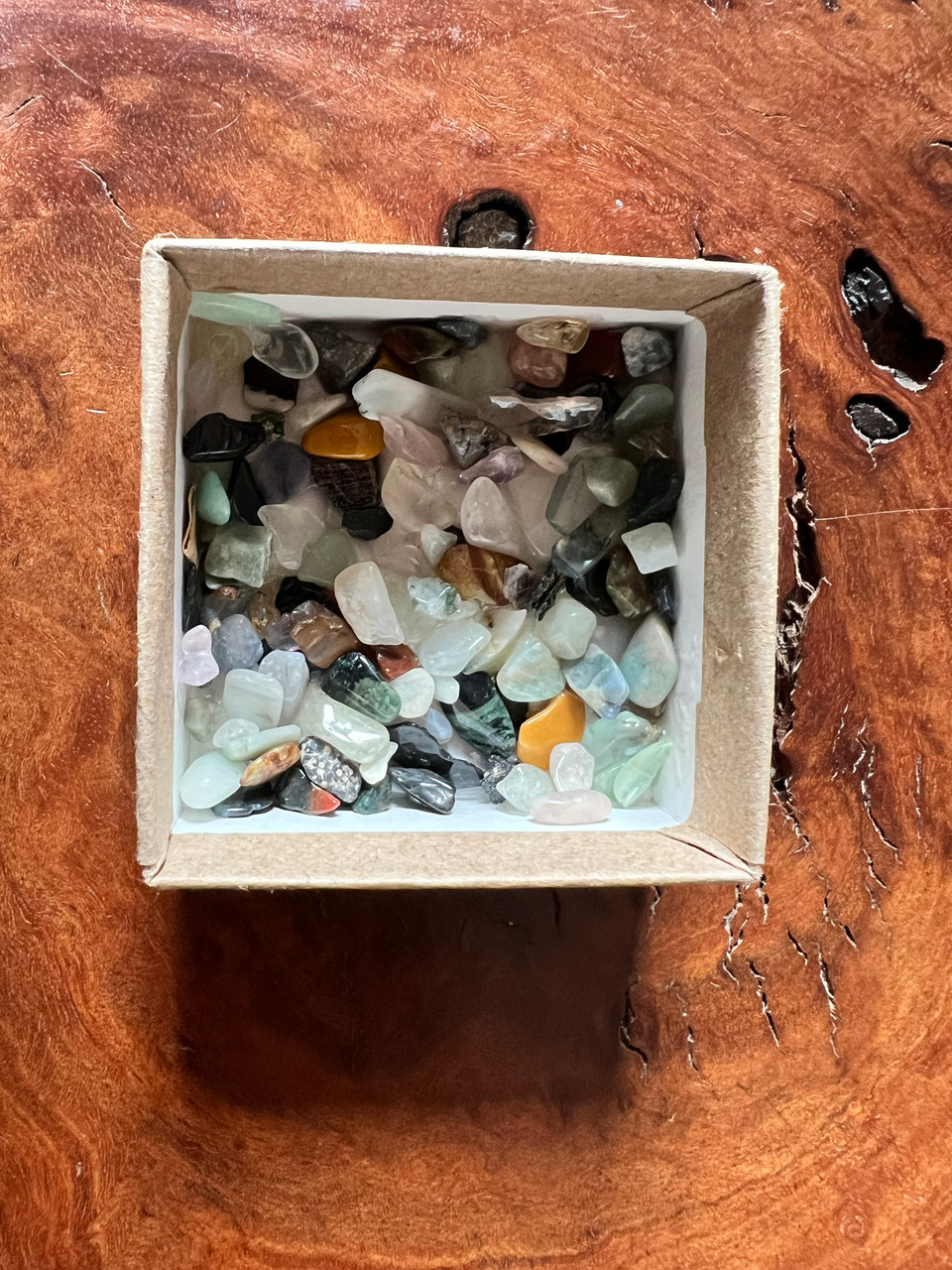 Gem Bug/Rose Quartz - inspired living