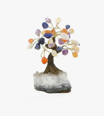 Money Tree - Mixed Stone - inspired living