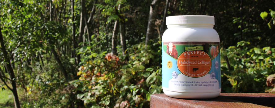 How To Supplement With Collagen - Perfect Supplements