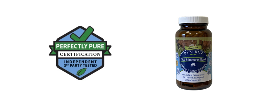Perfectly Pure Gut & Immune Blend - Perfect Supplements