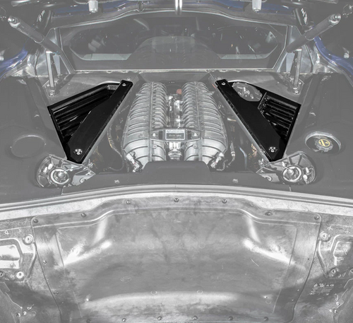 VENT-345-V2-FRP | Engine Bay Panel Kit Painted Carbon Flash for 2020 ...