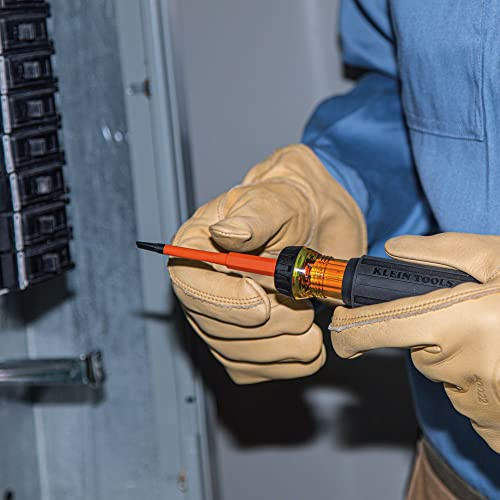 Klein Tools 32287 Insulated Screwdriver, 2-in-1 Screwdriver Set with ...