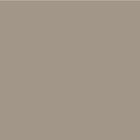 Dupli-Color 8oz GM Gold Metallic Automotive Paint (BGM0516) | JB Tools