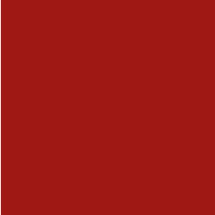Duplicolor BCC0419 Perfect Match Automotive Paint, Chrysler Flame Red ...