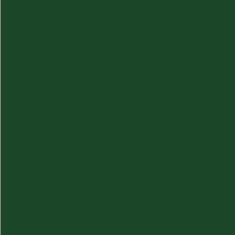 Dupli-Color 8oz Ford Deep Jewel Green Spray Paint (BFM0327) | JB Tools