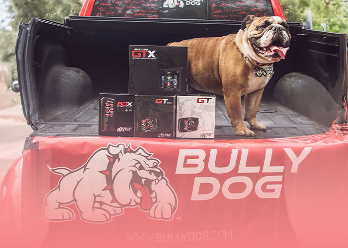 How To Install Bully Dog GT tuner Diesel? - JB Tools Inc.