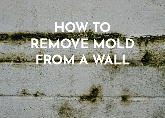 How To Remove Mold From A Wall - JB Tools Inc.