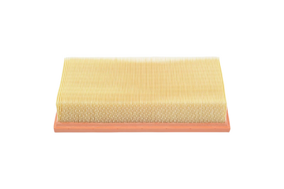 OE VW Air Filter for Crafter 2.0 TDI - 2N0129620